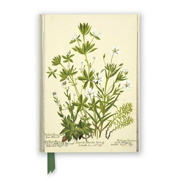 Flame Tree Address Books Bodleian Libraries: A Reader's Delight ...