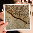 3drose, Brown N Beige Veined Marble Print, 6 Greeting Cards with ...