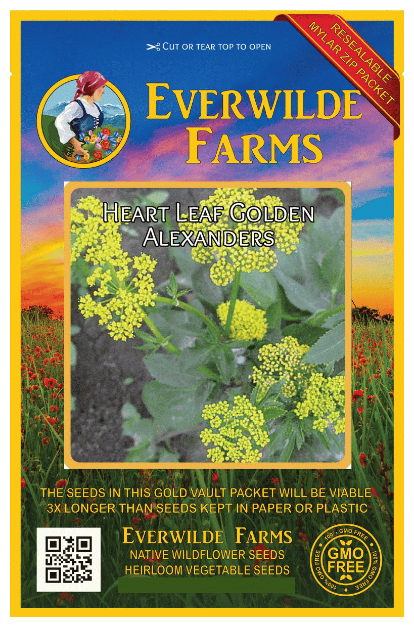 Everwilde Farms - 1 Oz Heart Leaf Golden Alexanders Native Wildflower ...