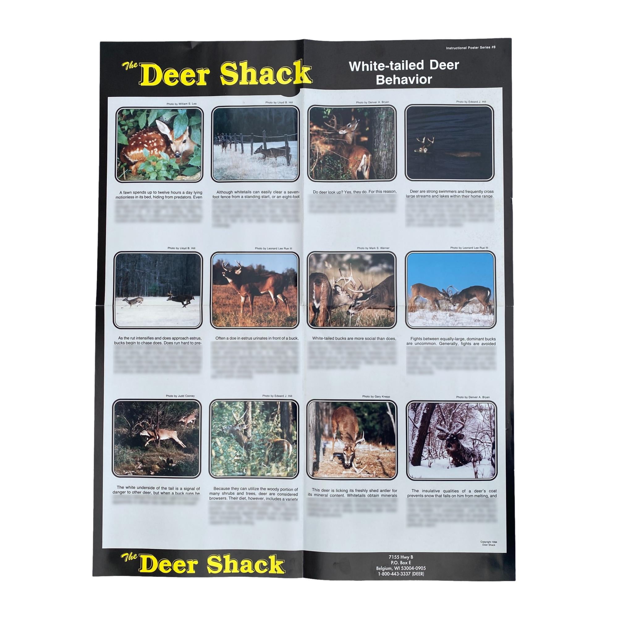Whitetail Deer Behavior Guide Poster - Walmart.com