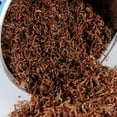 Freeze Dried Bloodworm 1 oz, 100% Natural Freeze Dried Blood Worms ...