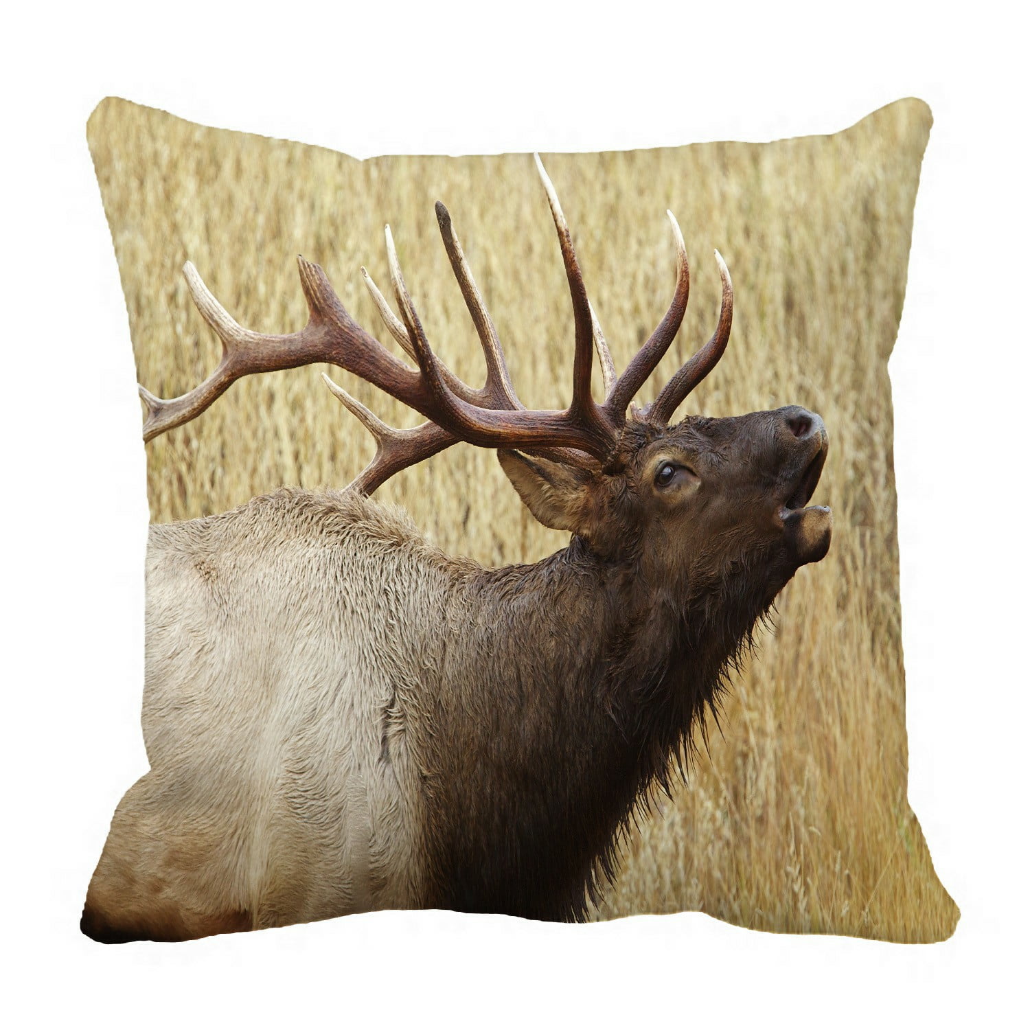 ECZJNT Bull Elk Stag Bugling Calling Rocky Mountain Cervus Canadensis ...