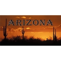 212 Main LPO752 Arizona Cave Creek Photo License Plate - Walmart.com