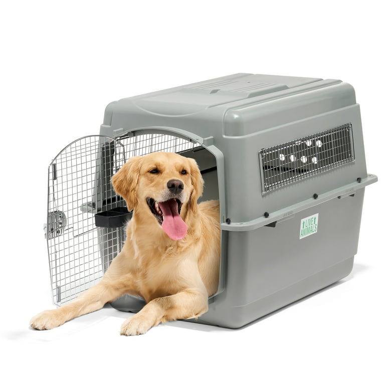 Extra Large Dog Carrier Dog Carriers For Top Large Dogs