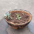 2pcs/ 25cm Coconut Flowerpot Liner Hanging Coconut Liner Groove Flower ...