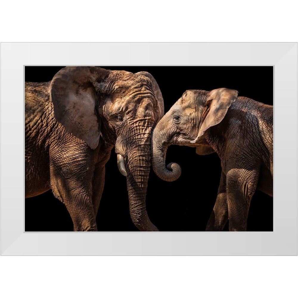 Martins, Vitor 24x17 White Modern Wood Framed Museum Art Print Titled ...