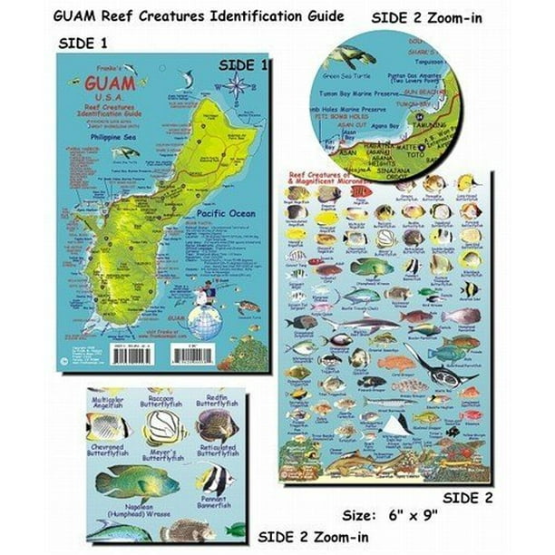 Guam Reef Fish and Creature Guide - Walmart.com - Walmart.com