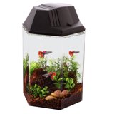 Hawkeye 1.6-Gallon Hexagon Aquarium Kit with Internal Power Filter and ...