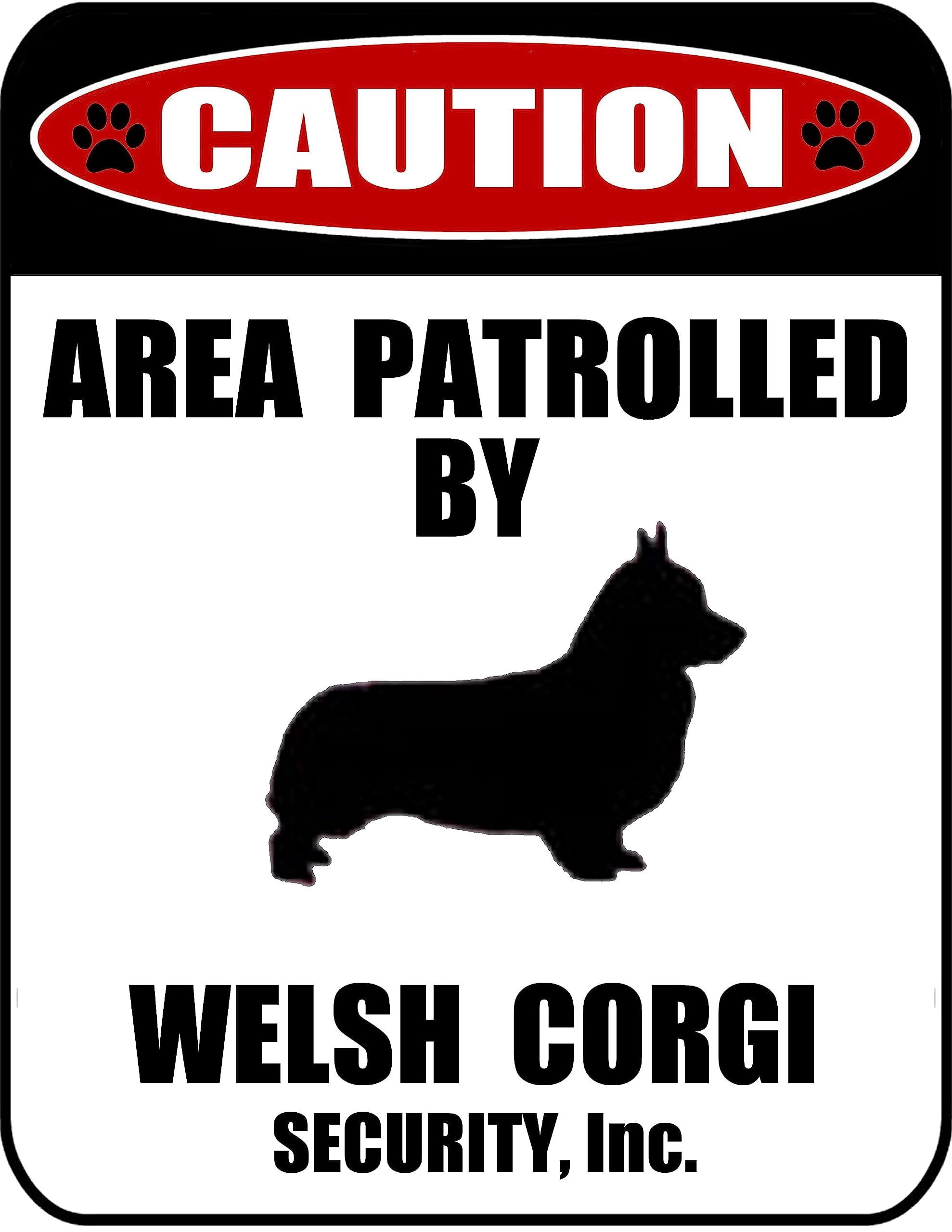 LED Light Up Red Flashing Blinking Attention Grabbing Laminated Dog ...