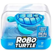 Little Live Pets Series 5 Lil Turtle Single Pack Assortment - Walmart.com