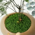 Artificial Moss for Decor | Realistic Plastic Fake Moss | DIY ...