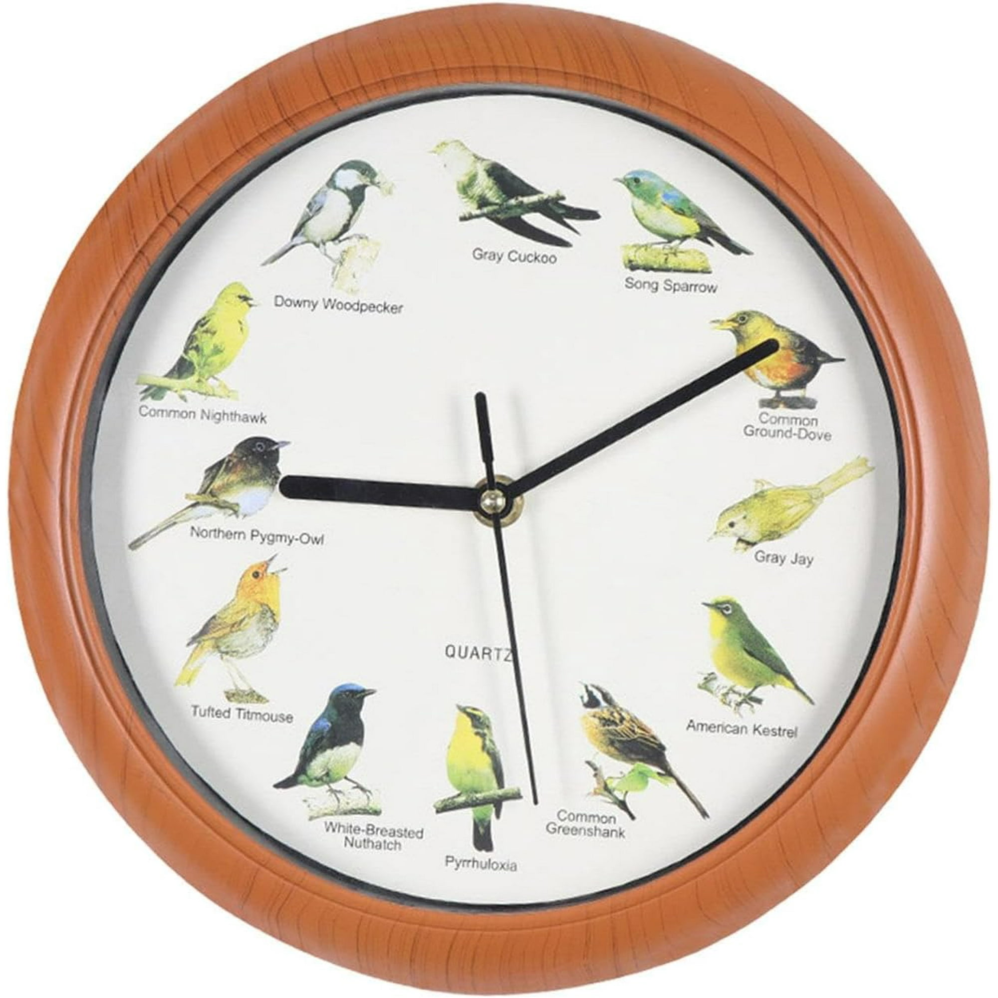 Click here for Nobrand Bird Clock With Sound Singing Bird Wall Cl... prices