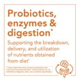 NOW Supplements, Probiotic Defense, Probiotic Blend in a Whole Food ... NOW Supplements, Probiotic Defense, Probiotic Blend in a Whole Food ...