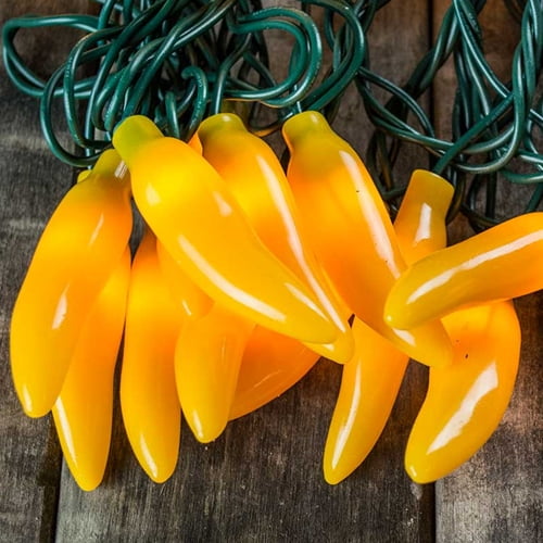 Outdoor String Lights Chili Pepper Fiesta String Lights Plug-In Indoor ...