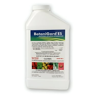 Zylam Liquid Systemic Insecticide for Root Pests - 1 Quart - Walmart.com