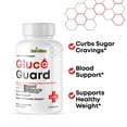 Gluco Guard- Blood Support- 2 Bottles- 120 Capsules - Walmart.com