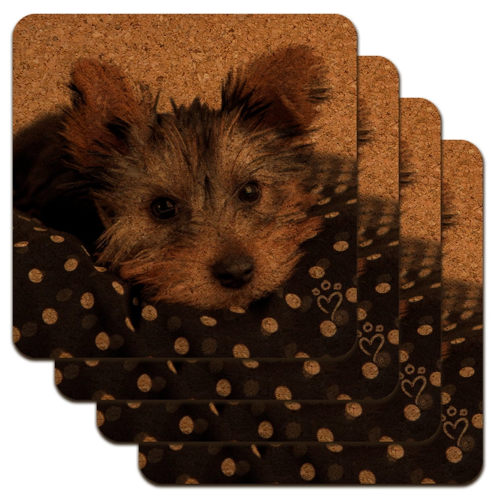 Yorkie Yorshire Terrier Puppy Dog on a Spotted Cushion Low Profile ...