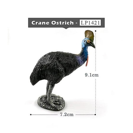 Komodo Dragon Wolf Dog Cat Sloth Rabbit Lizard Parrot Cormorant Fox/24 ...