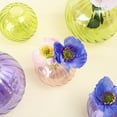 NEXAVKPR Decorative Glass Ball Vases Clear French Design Small ...
