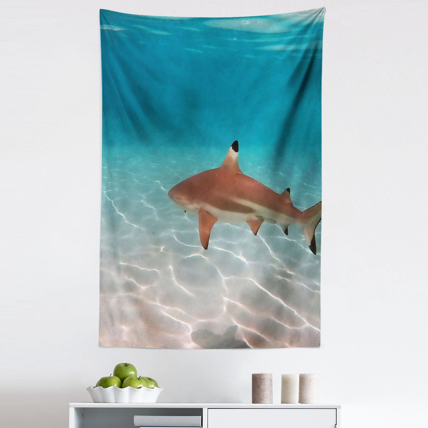 Underwater Tapestry, Blacktip Shark Close up Photo in Moorea Lagoon ...