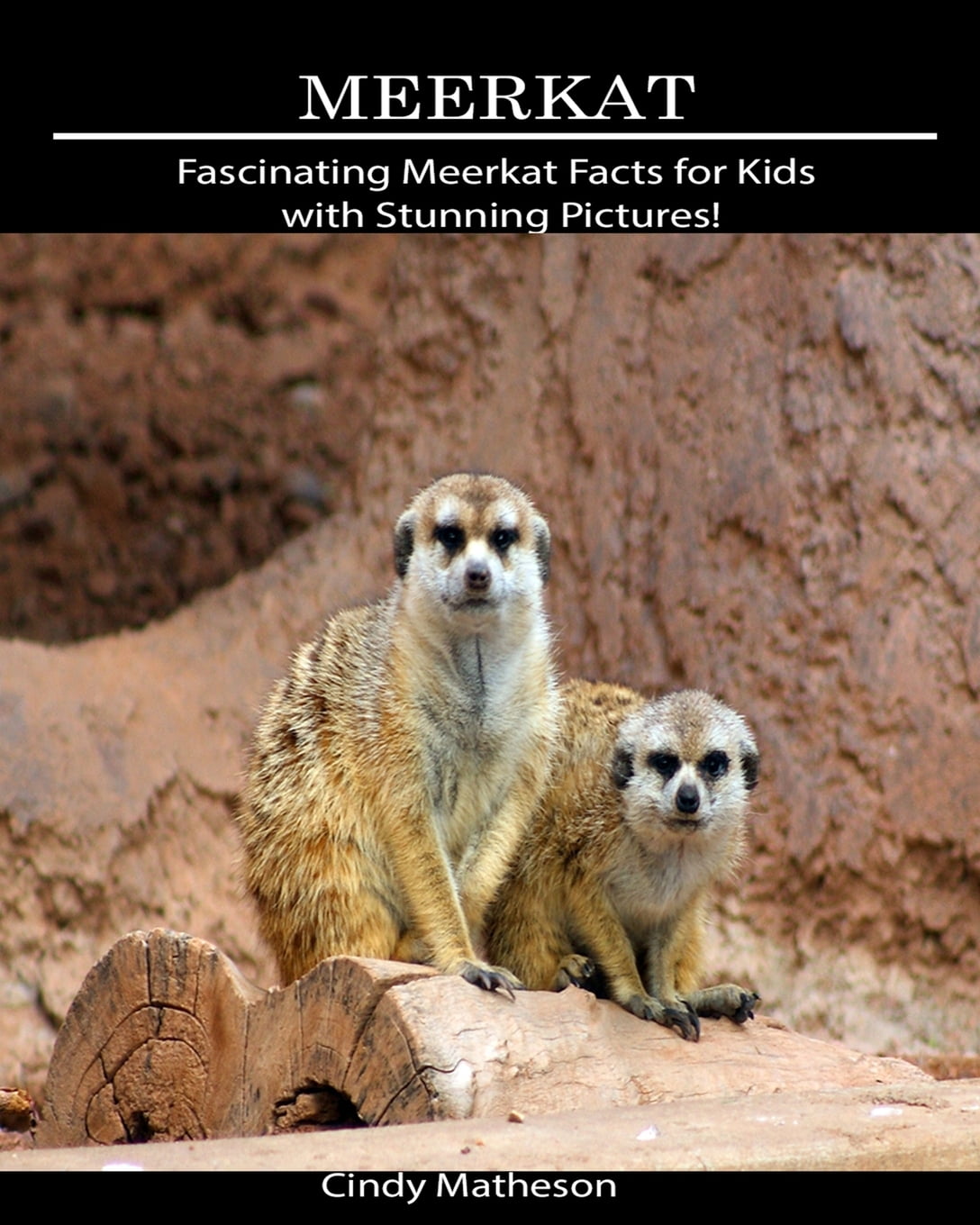 Meerkat Fascinating Meerkat Facts For Kids With Stunning Pictures meerkat-fascinating-meerkat-facts-for-kids-with-stunning-pictures