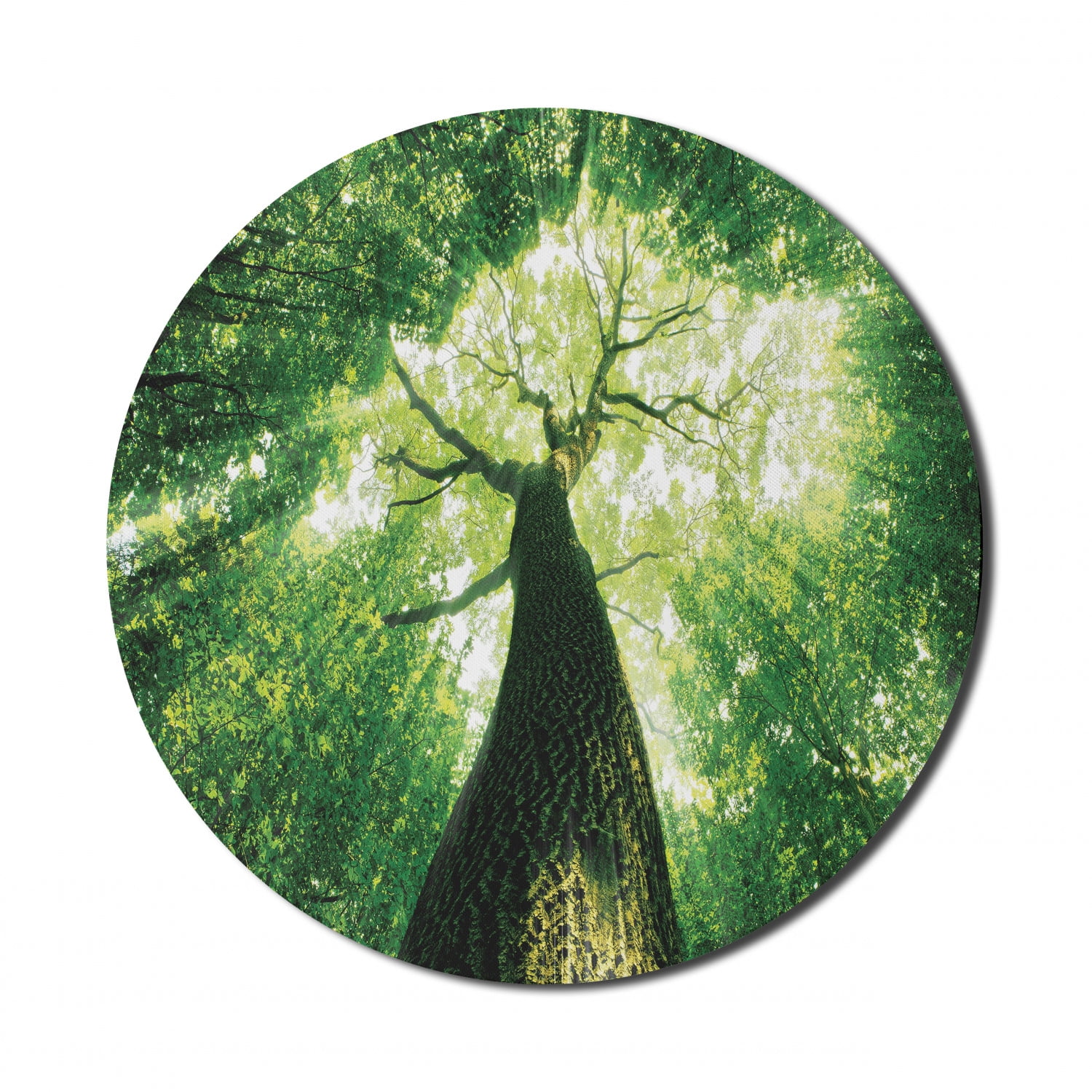 Nature Mouse Pad for Computers, Sun Rays to Woodland Wild Habitat ...