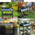 Propane Gas Stove, 2-Burner, Auto Ignition, Portable, Stainless Steel ...