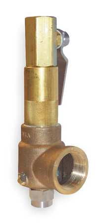 POP Safety Valve,1 x 1-1/4 In,500 psi - Walmart.com