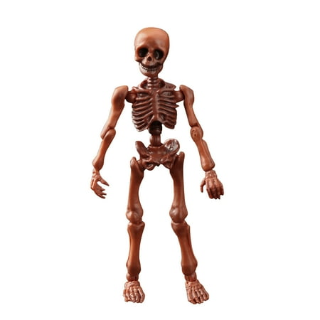 AnuirheiH Human Skeleton Model Mini Movable Skeleton Figure Toy Skull ...
