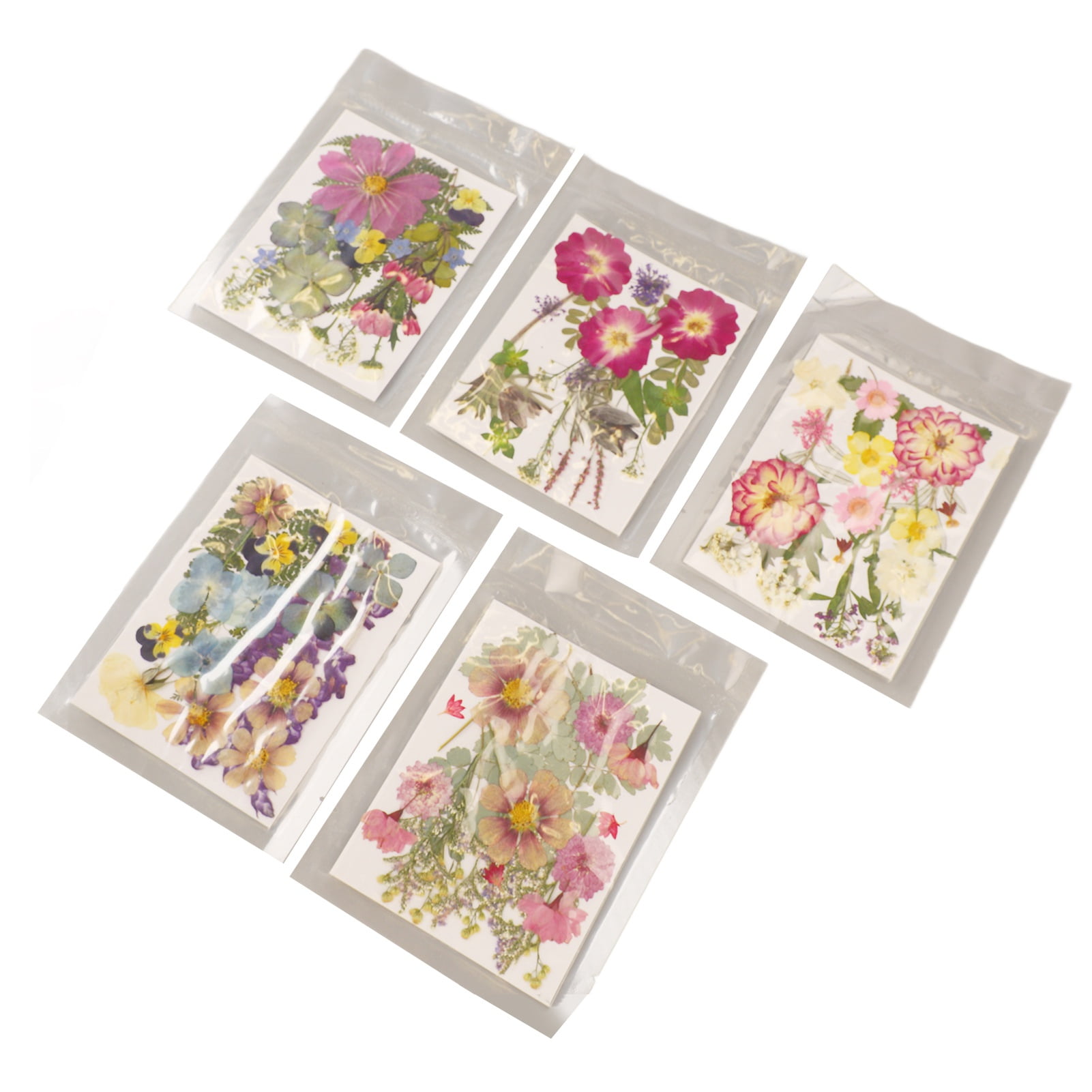 Click here for Youthink Pressed Flowers For Crafts Vibrant Rich D... prices