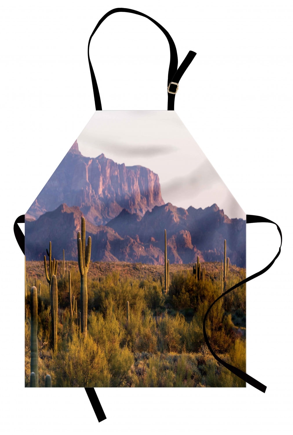 Saguaro Apron Arizona Desert Landscape with Cactus Mountain in Spring ...
