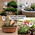 Reyox Water Tester for Houseplants - Indoor/Outdoor Soil Moisture ...