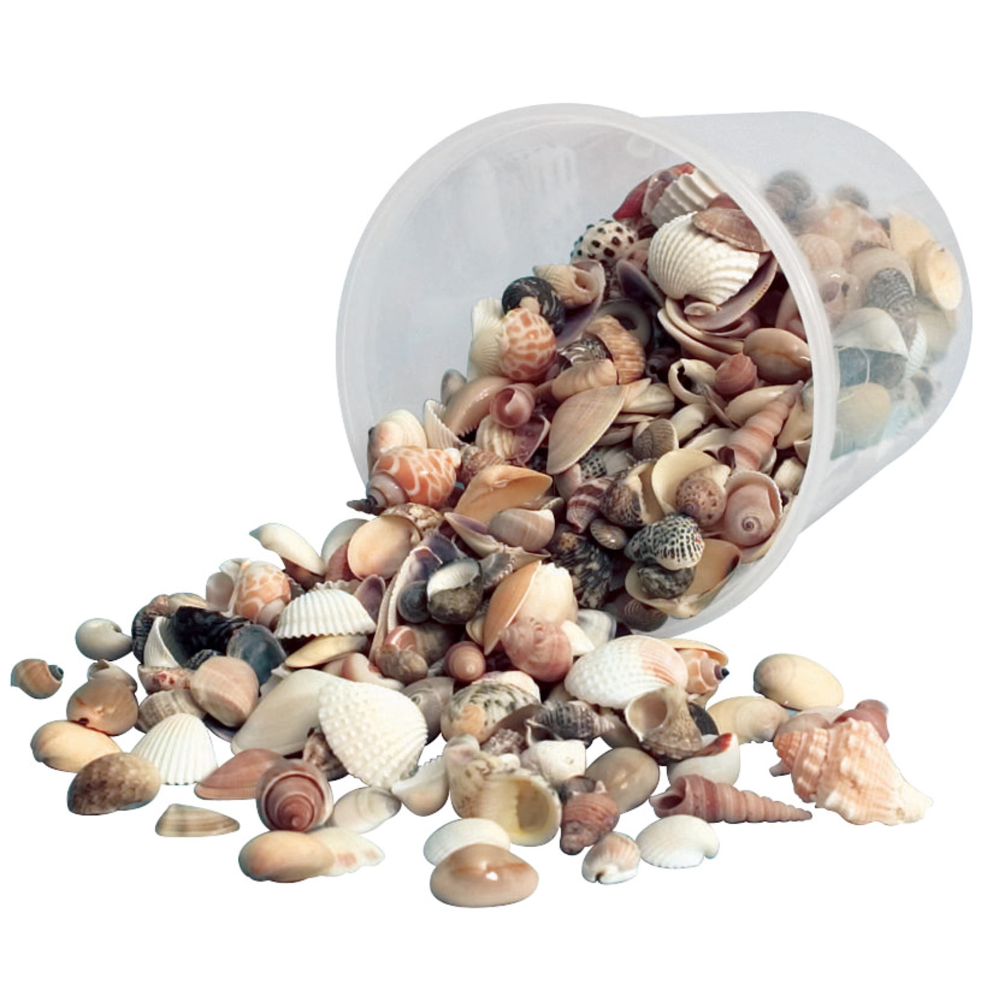 Hygloss Bucket O' Shells, Assorted Size, Natural White, 16 oz - Walmart.com