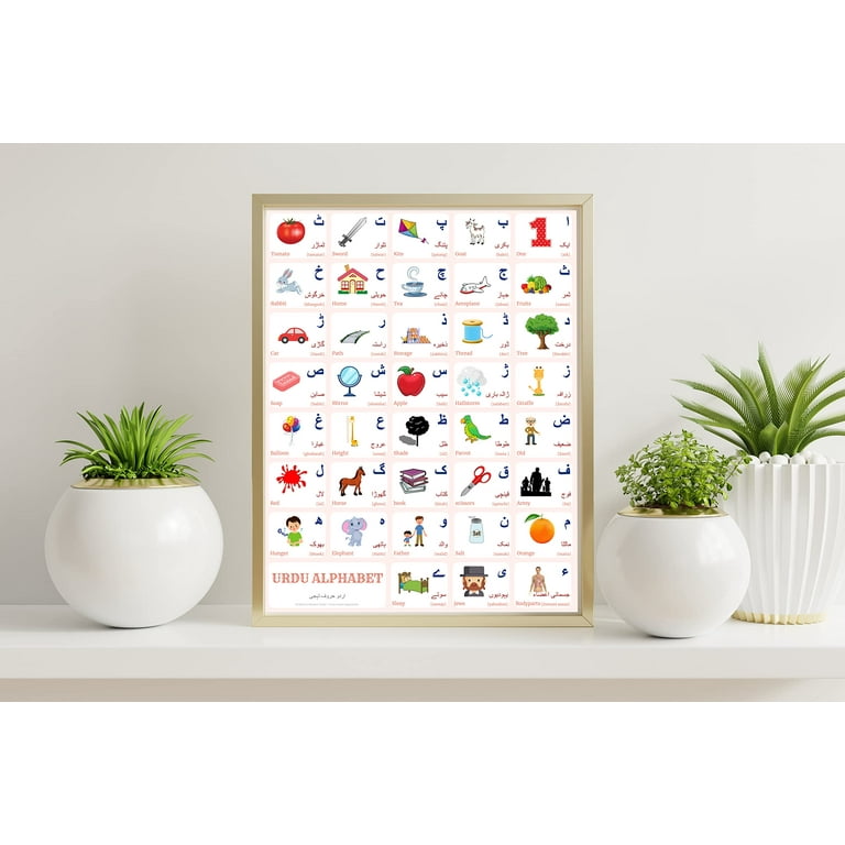 Urdu Alphabet Poster