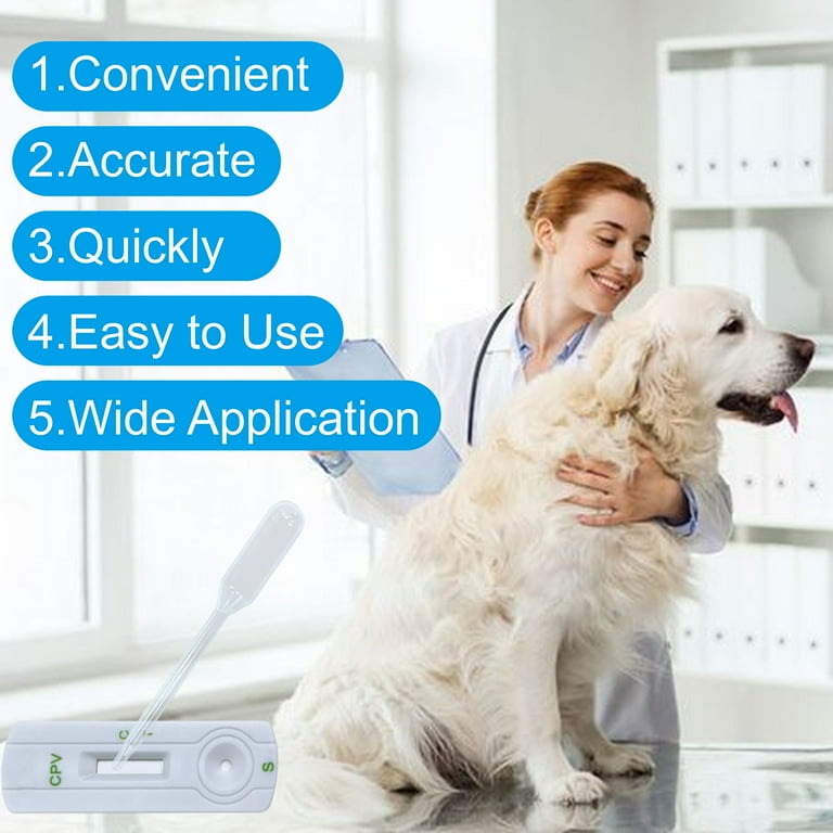 What Is Parvo Treatment In Dogs | ppgbbe.intranet.biologia.ufrj.br