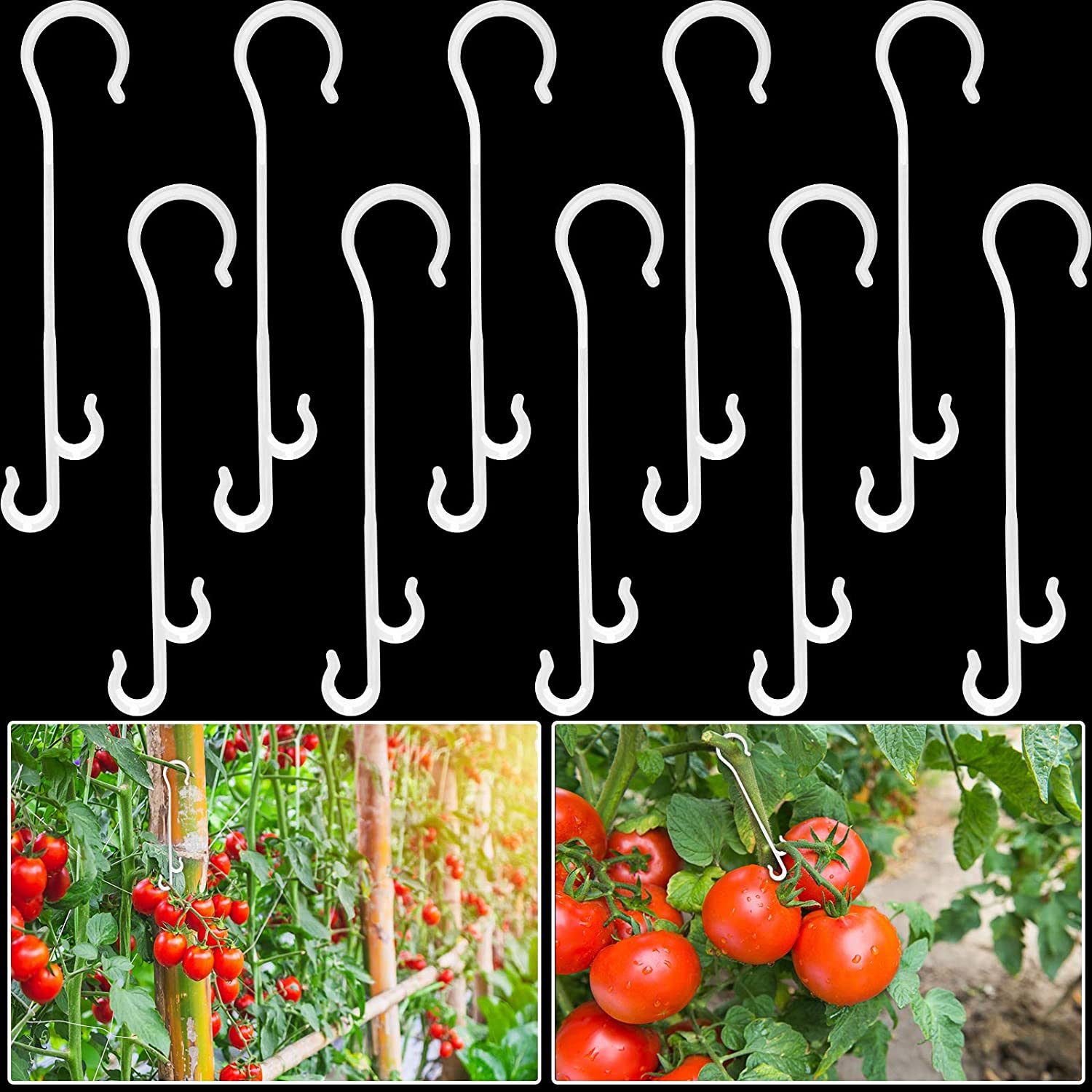 200 Pieces Tomato Hook Clips Tomato Support Clips Tomato Vegetable ...