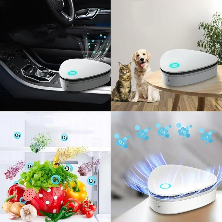 Smoke remover for home store