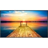 NEC E506 E Series - 50" LED display - Walmart.com