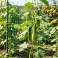 Cucumber Netting for Climbing Plants Heavy-Duty Reinforced Nylon ...