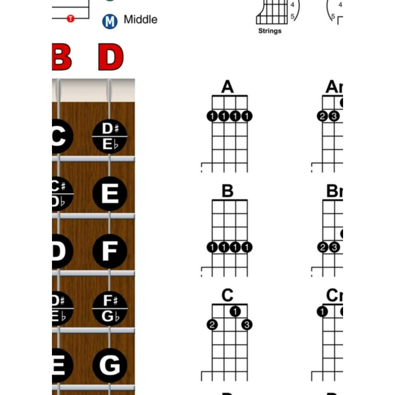 Banjo Chords A Minor Banjo Chord Chart Poster For Beginner, Master