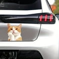 NIUBWJL Cute Cartoon Cat Thinking Life Car Decals, Waterproof Vinyl ...
