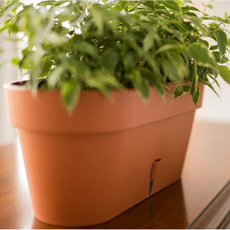 Bottom Watering Plant Box