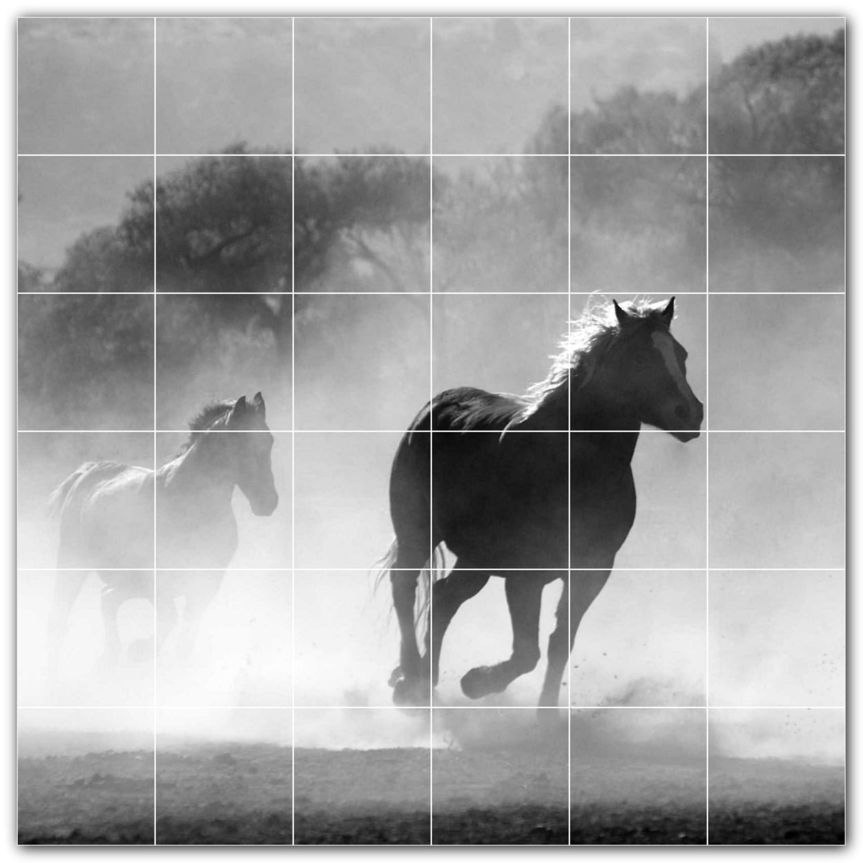 Picture-Tiles.com: Horse Ceramic Tile Wall Mural WAL500764-66XL. 72"W x ...