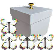 Flying Butterfly Gift Box