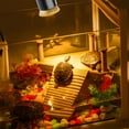 FINAQUA UVA/UVB Turtle Heat Lamp 2-Pack 50W with Timer - Walmart.com