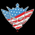 Junior's WWE Cody Rhodes American Nightmare Logo Graphic Oversized T ...
