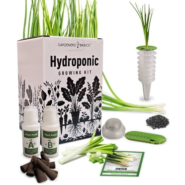 Modern Sprout Basil Grow Kit 1 pk - Walmart.com
