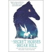 The Secret Horses of Briar Hill, (Paperback) - Walmart.com