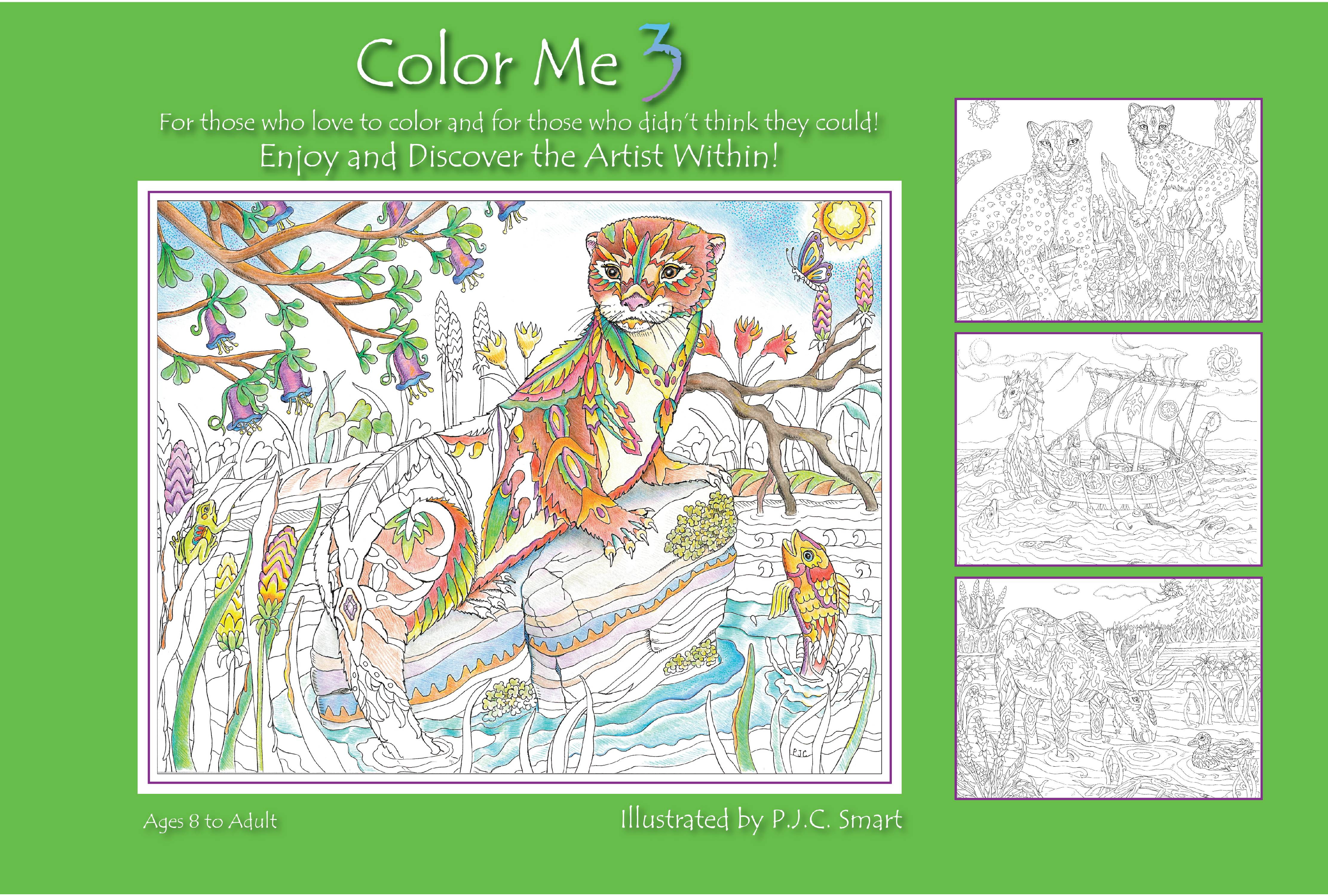 Color Me: Color Me Your Way 3, Volume 3 (Series #3) (Other) - Walmart.com