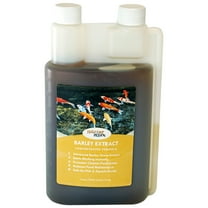 Beckett 1000 Gallon Barley Straw Bales Natural Filtration For Clean ...